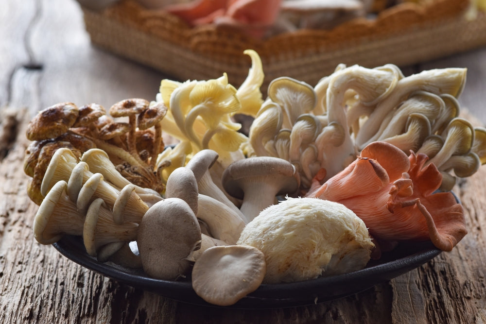 Mushroom Farmers Market Vendors – Spore Center Insurance Group